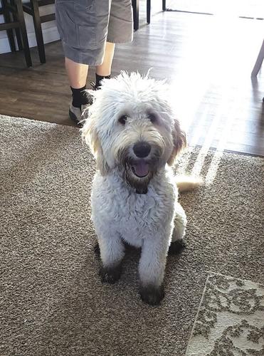 Hints From Heloise | Lifestyles | latrobebulletinnews.com