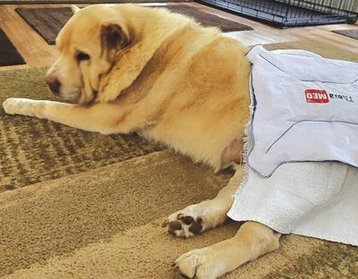 Hints From Heloise | Lifestyles | latrobebulletinnews.com