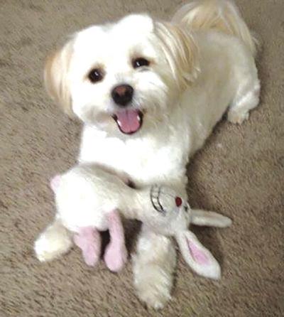 Hints From Heloise | Lifestyles | latrobebulletinnews.com