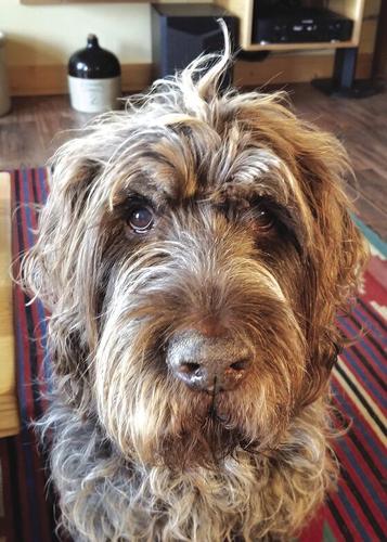 Hints From Heloise | Lifestyles | latrobebulletinnews.com