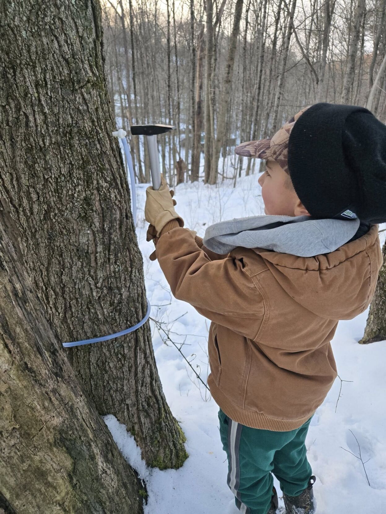 Maple Taste & Tour event near New Alexandria this weekend | Local News ...