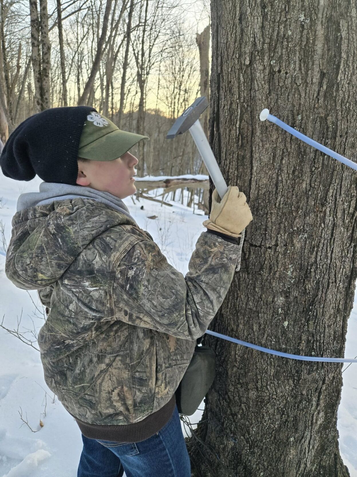 Maple Taste & Tour event near New Alexandria this weekend | Local News ...