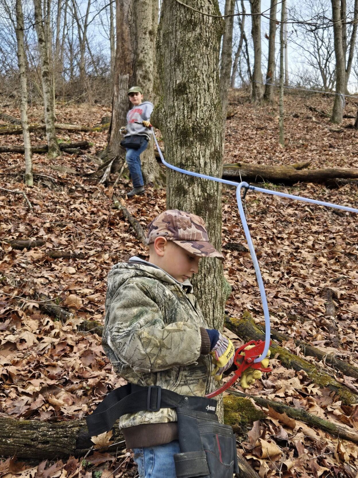 Maple Taste & Tour event near New Alexandria this weekend | Local News ...