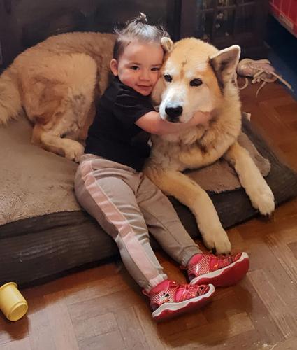 Area pet parents stunned over treatment of their deceased pets | Local ...