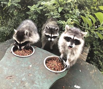 Hints From Heloise | Lifestyles | latrobebulletinnews.com