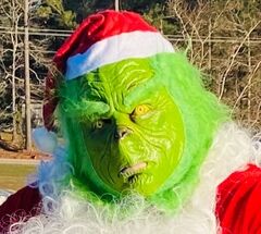 Grinch faces charges after arrest; jail mugshot released | Free News ...