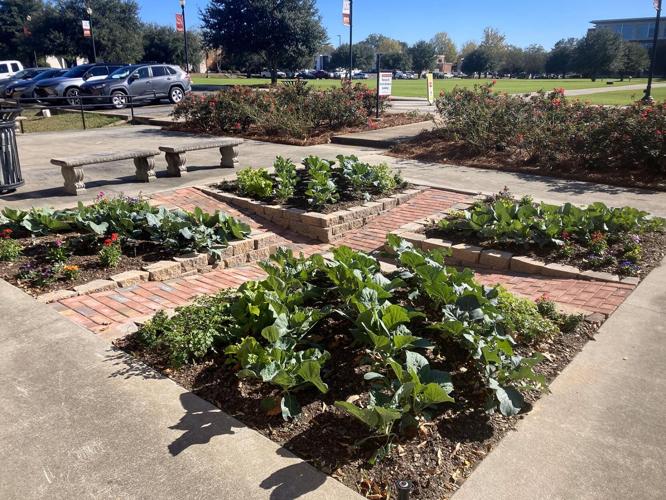 Jones College’s PTK Honor Society earns top awards at Regional ...