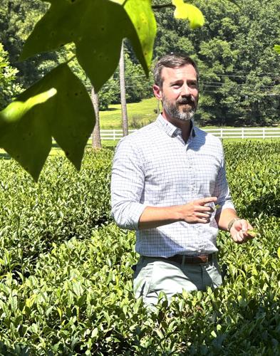 Two for tea | Lifestyles | leader-call.com