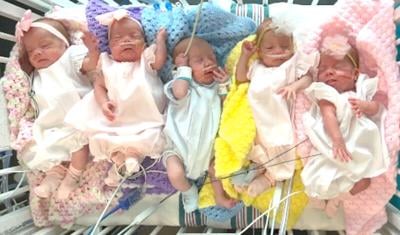 The Five | News | leader-call.com