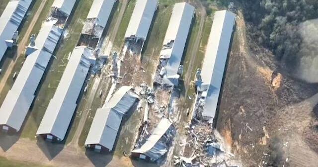 A clucking disaster | News | leader-call.com