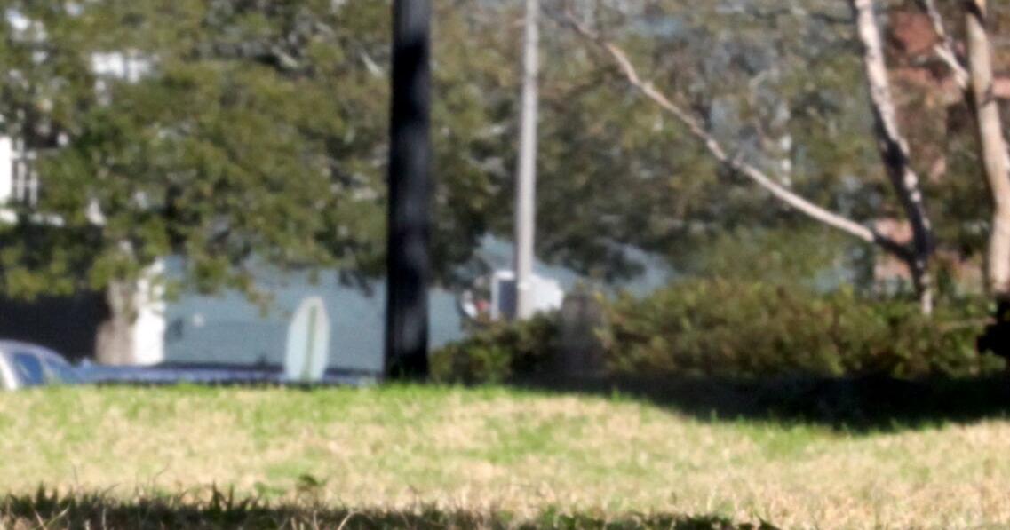 A dandy sign? | Free News | leader-call.com