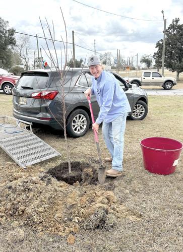 Putting roots in Soso to celebrate Arbor Day | Free News | leader-call.com