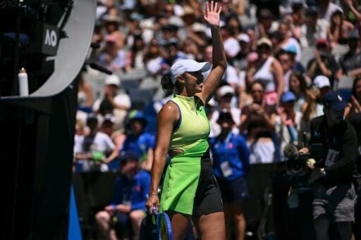 Djokovic, Sinner plough on in Melbourne, Wawrinka makes history ...