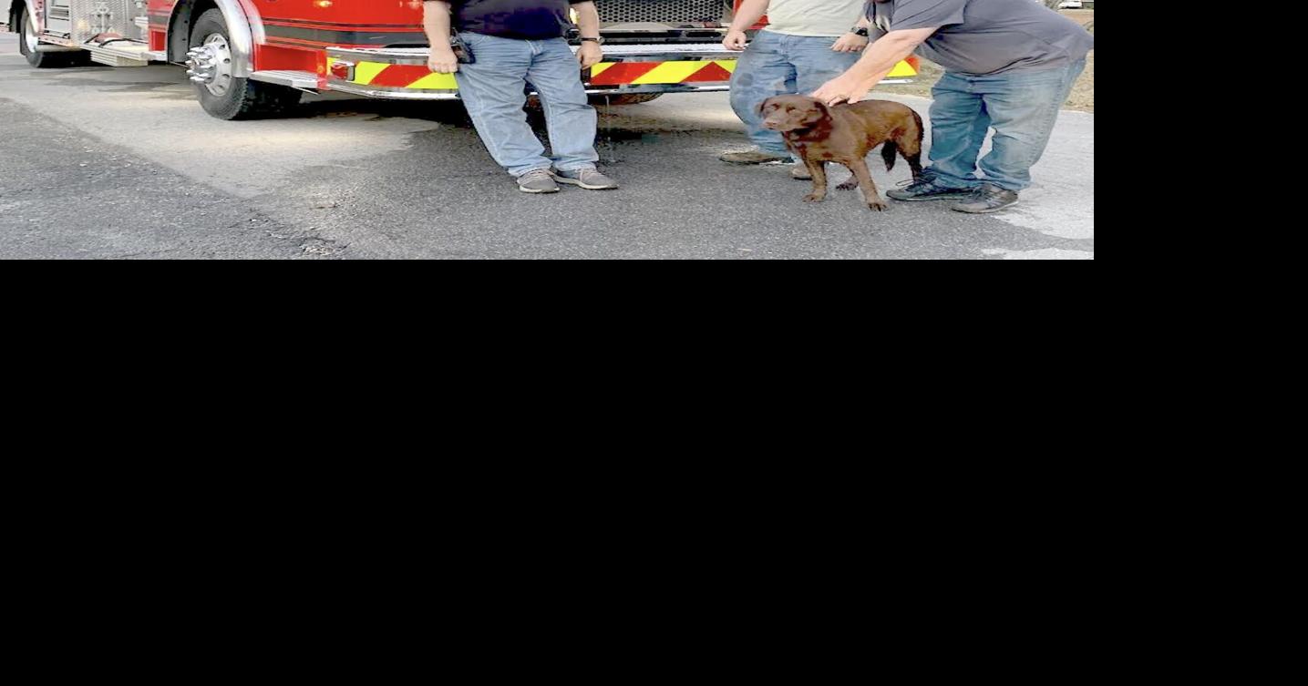 Shady Grove volunteers save dog stuck in culvert | Letters to the ...