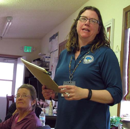 Senior Master Plan Survey results revealed to community | Local News ...