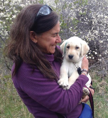 Canine Companion Figgy now has a real job | Free Content ...