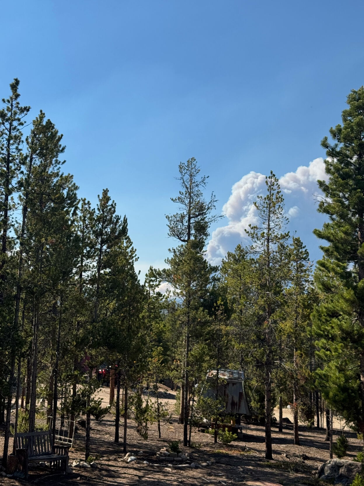 Willow Fire reported near Twin Mounds below Mount Massive | Local News ...