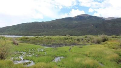 CDWR declares Barn Pond man-made | Local News | leadvilleherald.com