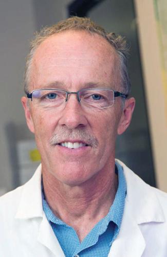 Stem cell therapy for animals and humans is topic | Free Content ...