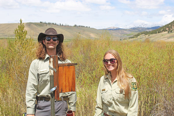 Students draw species to Hayden Meadows | Local News | leadvilleherald.com