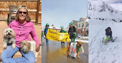 Herald staff wins Better Newspaper awards | Local News ...