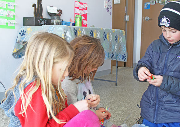 Animal shelter hosts community event | Local News | leadvilleherald.com