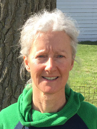 Leadville Sanitation District Board candidates | Local News ...