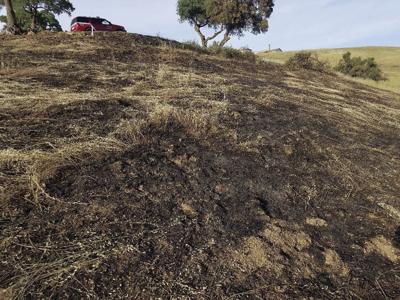 Ione Fire Department - Green Grass May Burn | News | ledger.news