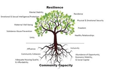 Reaching for Resilience: What is Resilience? | On the Vine | ledger.news