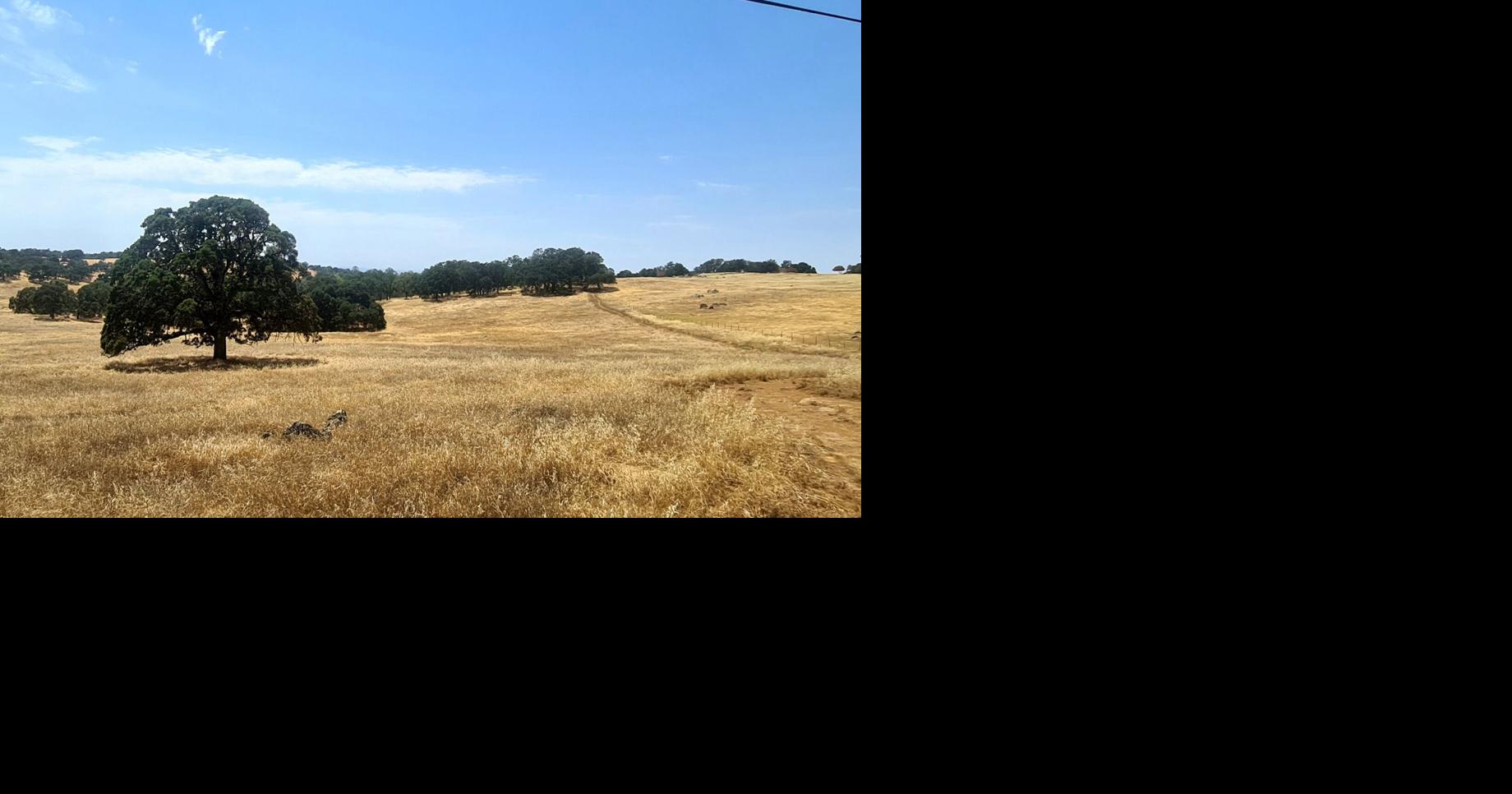 Erickson Ranch Trail Maintenance — Saturday, January 27 | On the Vine ...