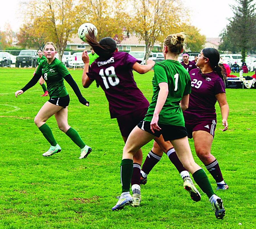 High School Soccer Roundup: Argonaut girls fall just short of trophy at ...