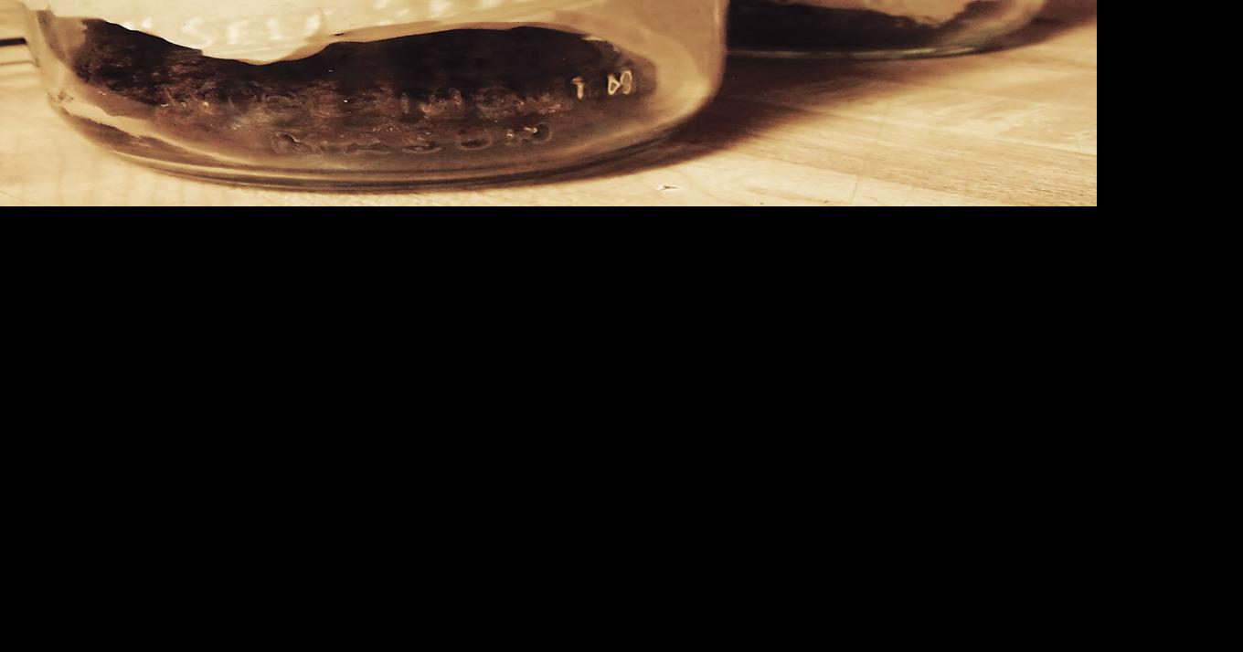 Hometown Cooking—Mason Jar Cake | Roots | ledger.news