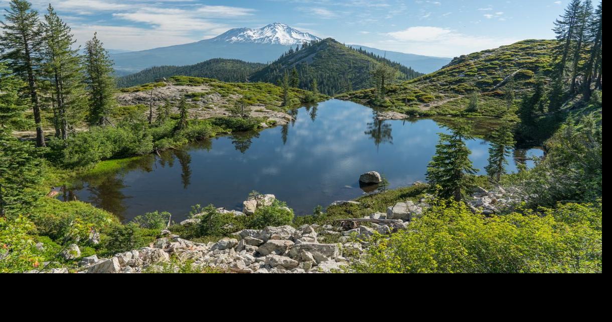 Rivers & Rhymes: Earth Aura | Roots | ledger.news