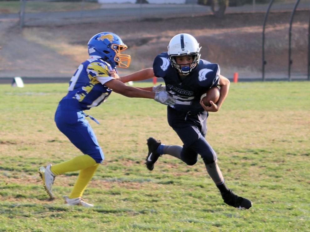 Youth Football Roundup: Junior Buffaloes sweep Linden on opening day ...