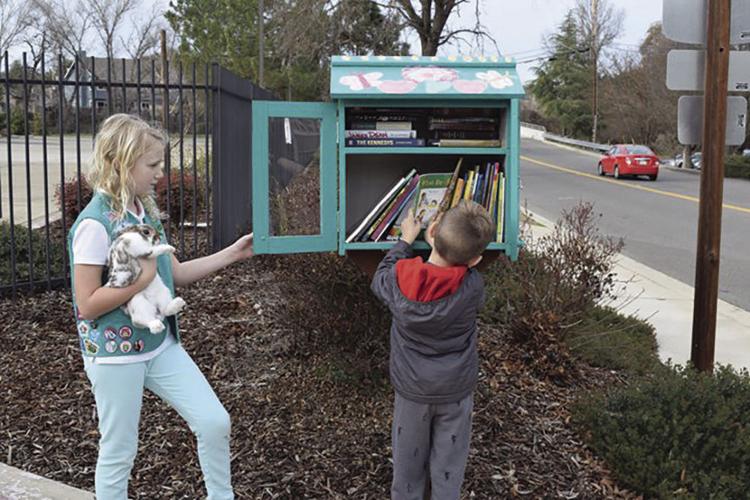 Girls Scouts Spruce Up Little Free Libraries | News | ledger.news