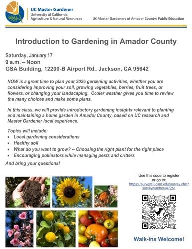 Introduction to Gardening in Amador County — Saturday, January 17 | On ...