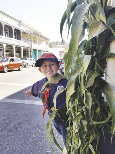 Thanks Landon!—Local Cub Scout Decorates Main Street for Fall | Roots ...