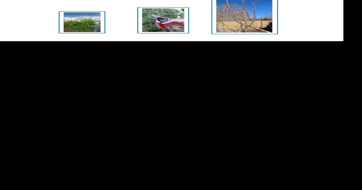 Pruning Class Flyer | | ledger.news