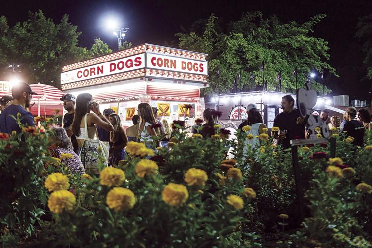 2024 Amador County Fair delivers fun times and 'golden' moments | Roots ...