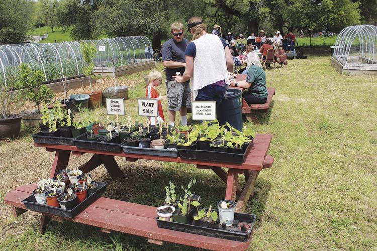 Community Comes Together at ACRA Garden—Friends and neighbors grow ...