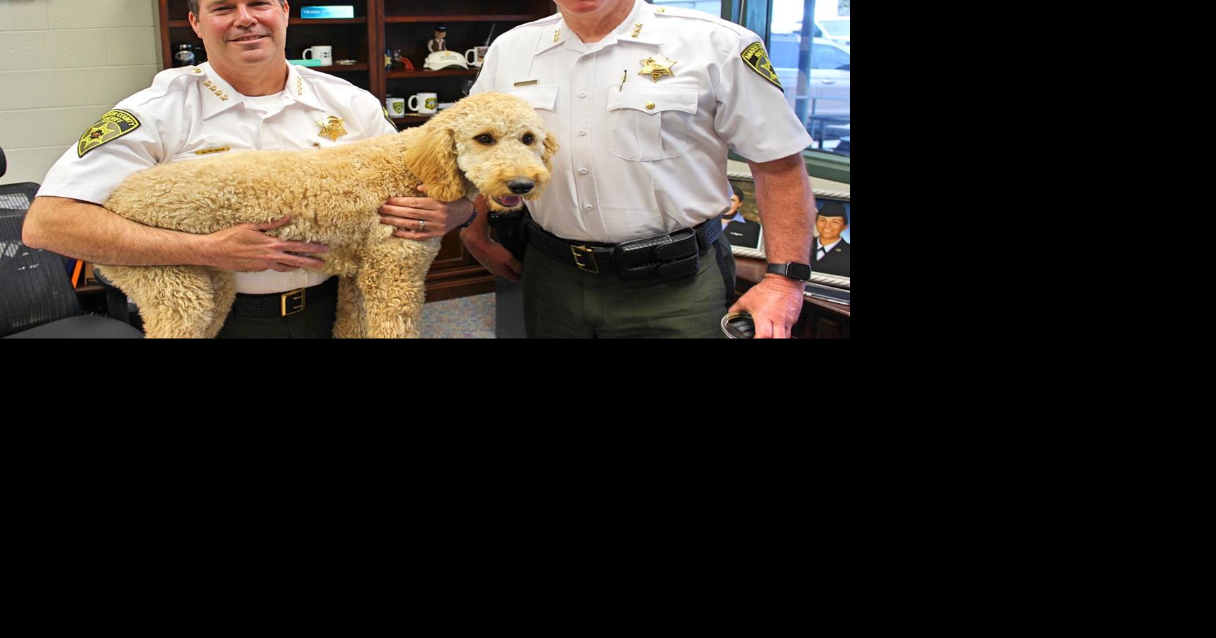 ACSO’s new leaders share a connection - and commitment - that runs deep ...