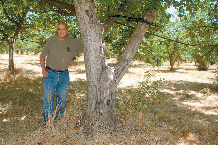 California Farm Bureau Food & Farm News — Wednesday, June 19 | Press ...
