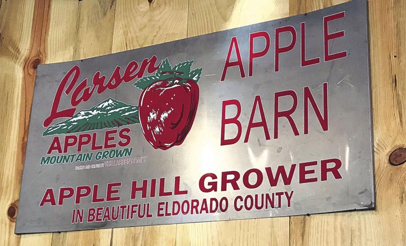 Locals Celebrate Autumn at Apple Hill | News | ledger.news