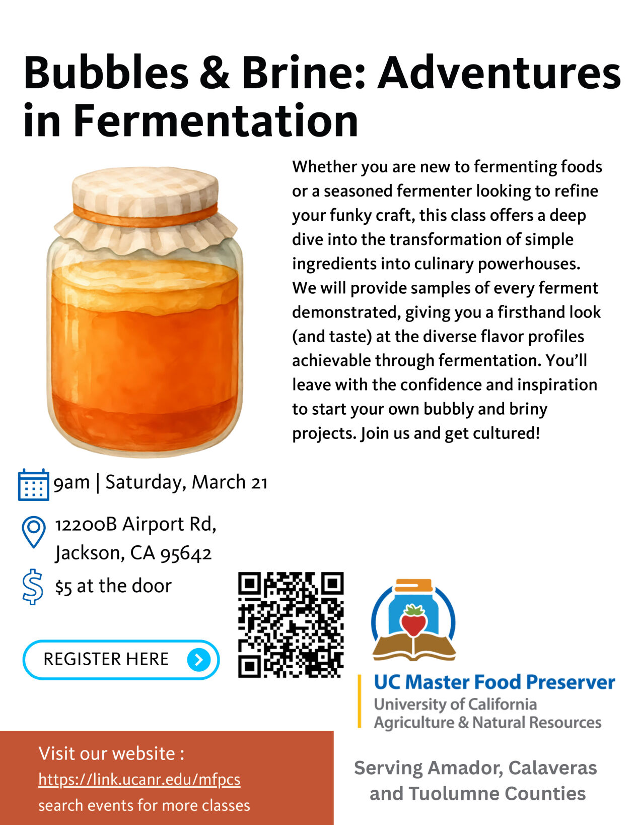Bubbles & Brine: Adventures in Fermentation — Saturday, March 21 | On ...