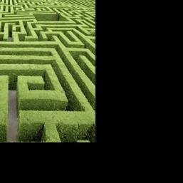 Rivers & Rhymes: The Labyrinth | Roots | ledger.news