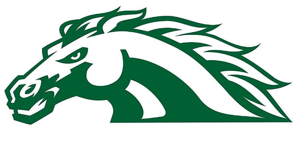 Mustang Tiger Athletic Hall of Fame nomination period closes September ...