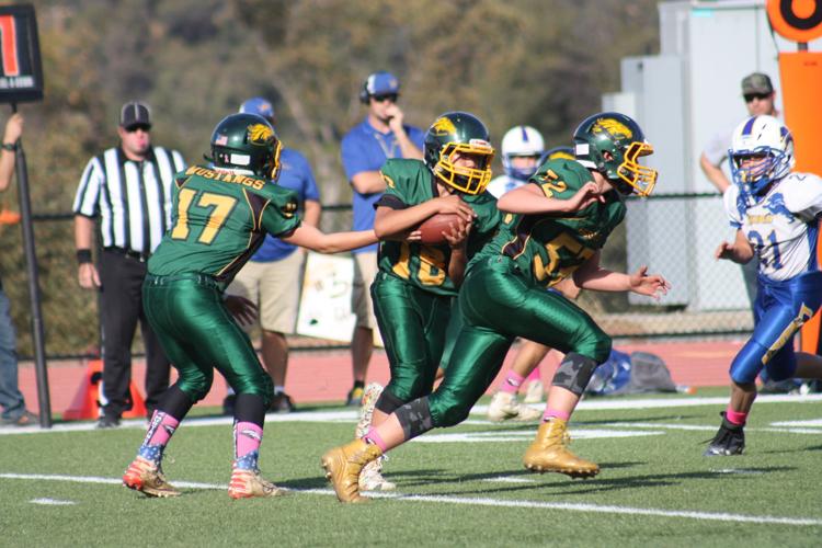 Youth Football Roundup: Amador Jr. Novice and Novice, Argonaut Varsity ...