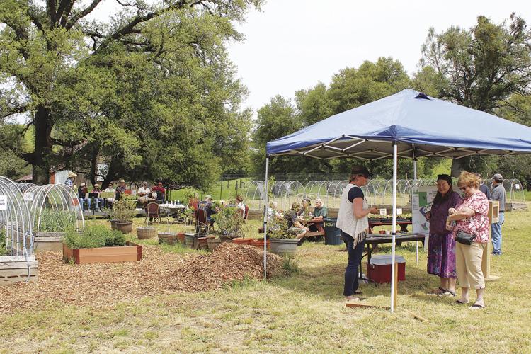 Community Comes Together at ACRA Garden—Friends and neighbors grow ...