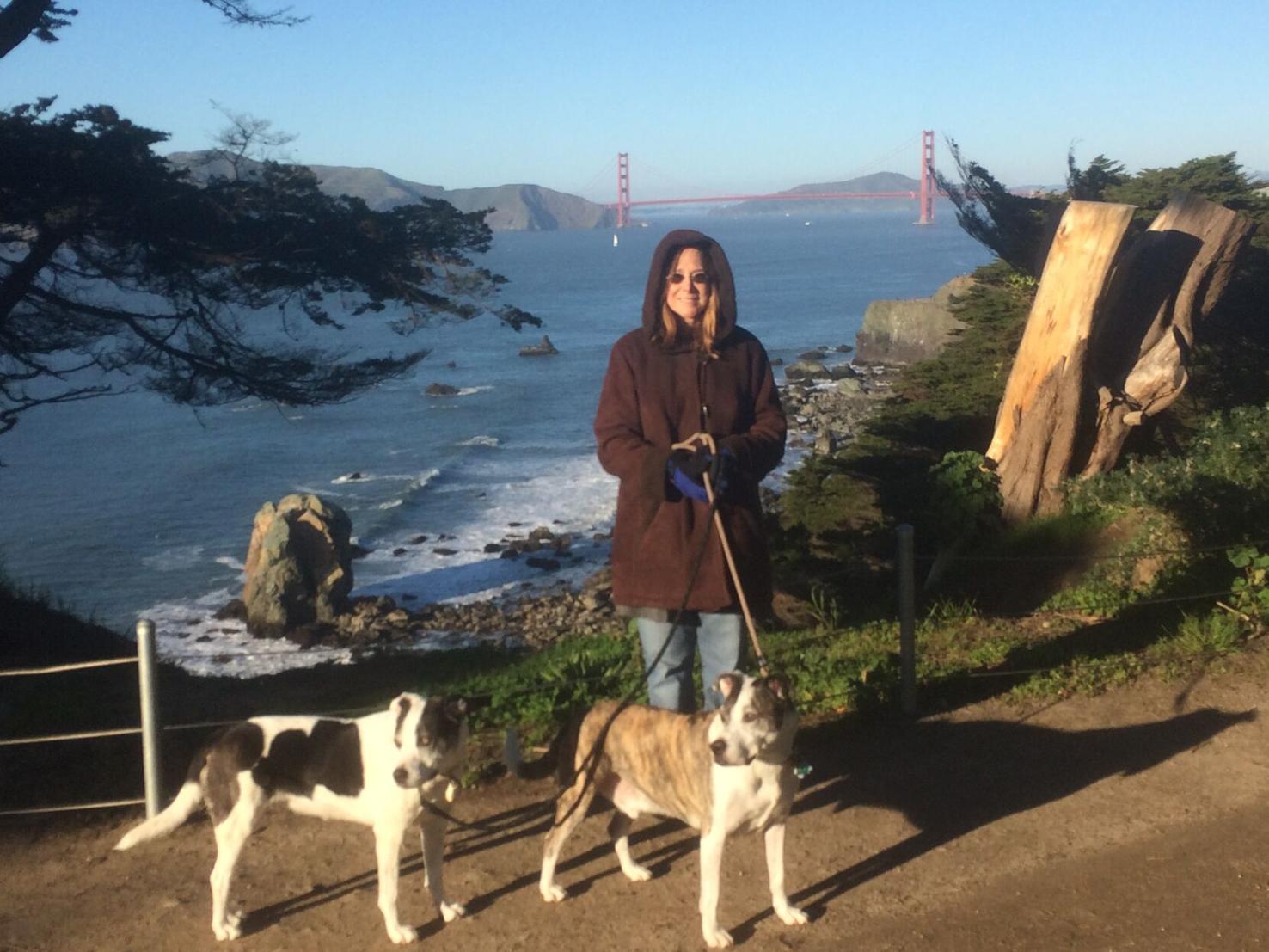 Obituaries | ledger.news