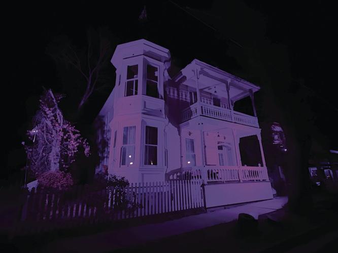 Purple for Polio Eradication | Roots | ledger.news